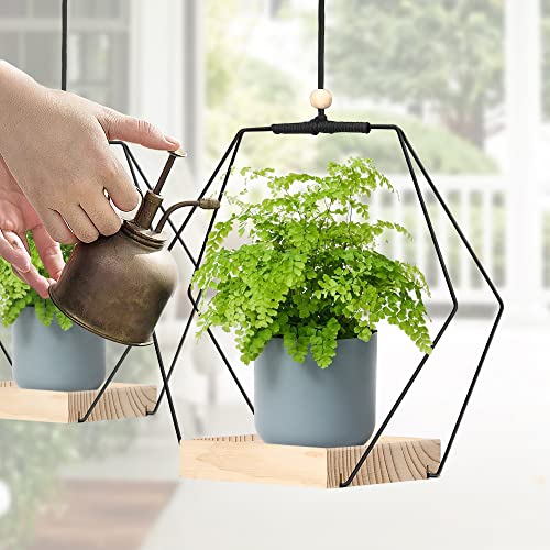 Kitypartsy Plant Hanger with Wood Base - Hanging Plant Holder, Hanging Planter/Pot for Indoor Plants Boho Macrame for Wall/Window/Room Decor, Black - Hexagon (Planter/Plants Not Included)