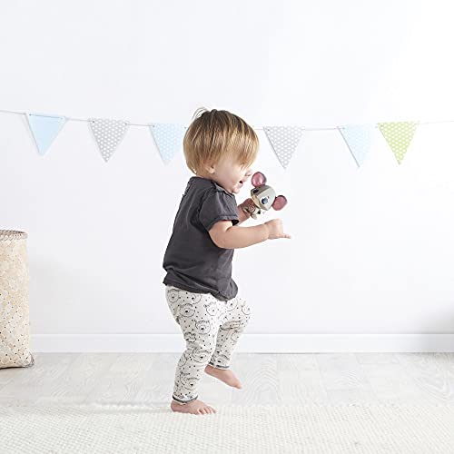 Tiny Love Wonder Buddies, Coco