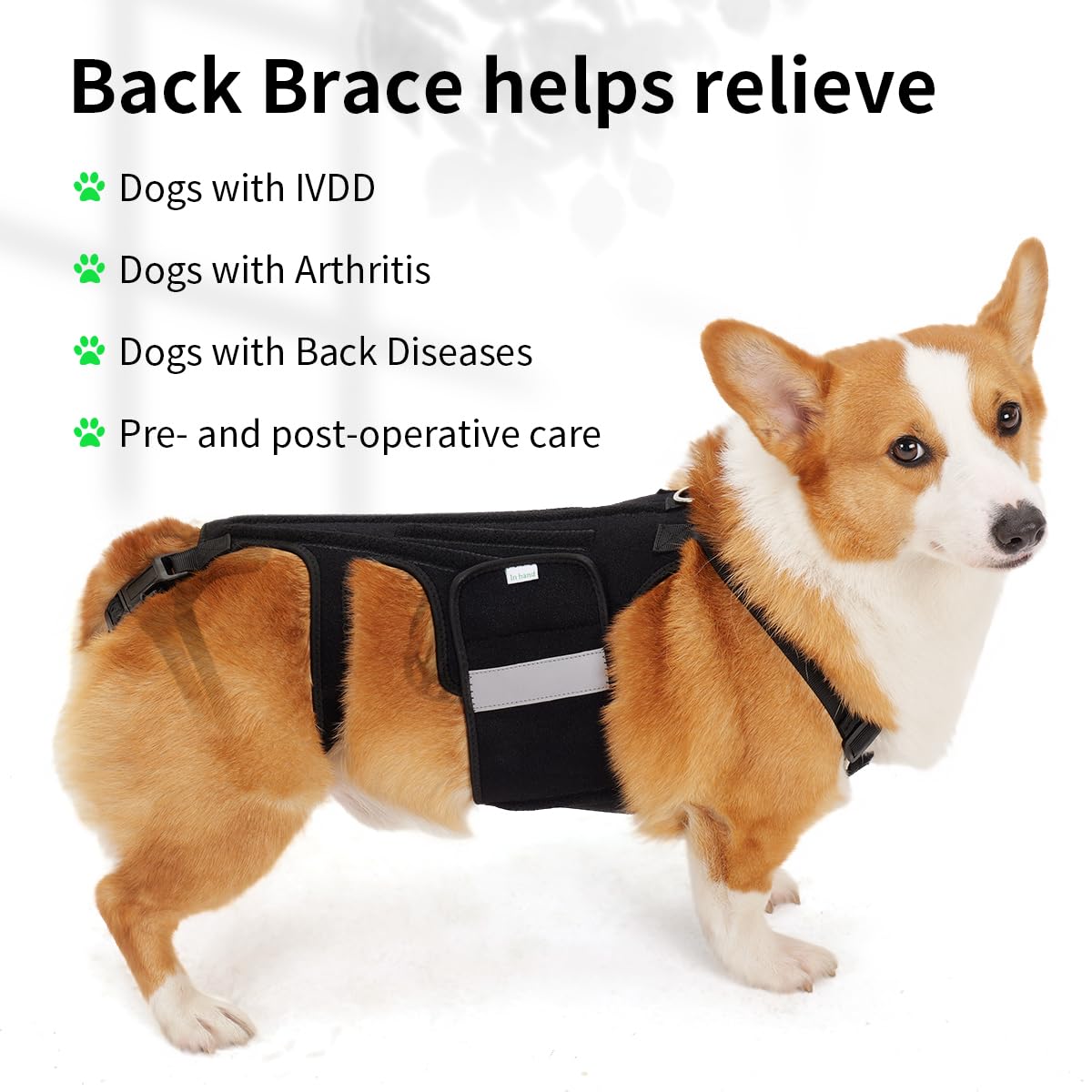 In hand Back Brace for Dogs, Canine Dogs Back Brace Helps Small Dogs with IVDD, Arthritis, Surgery Recovery, Spinal Disc Pain Relief, Back Protector Support for Back Disease Prevention