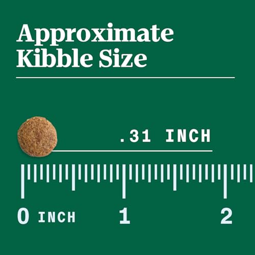 NUTRO Limited Ingredient Diet Small Bites Adult Dry Dog Food Lamb & Sweet Potato Dog Kibble, 22 lb. Bag