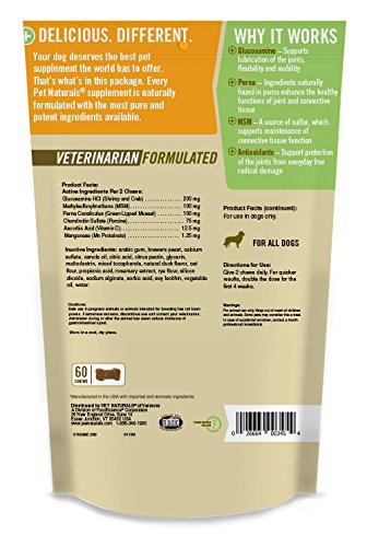 Pet Naturals - Hip + Joint for Dogs, Daily Joint Support Supplement, 60 Bite-Sized Chews (070089E.060)
