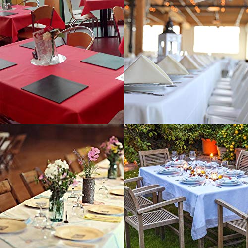 ProTensils Picnic Tablecloth Clips, Stainless Steel Outdoor Table Cover Clamps, Table Cloth Holder & Skirt Clip (12 Pcs)