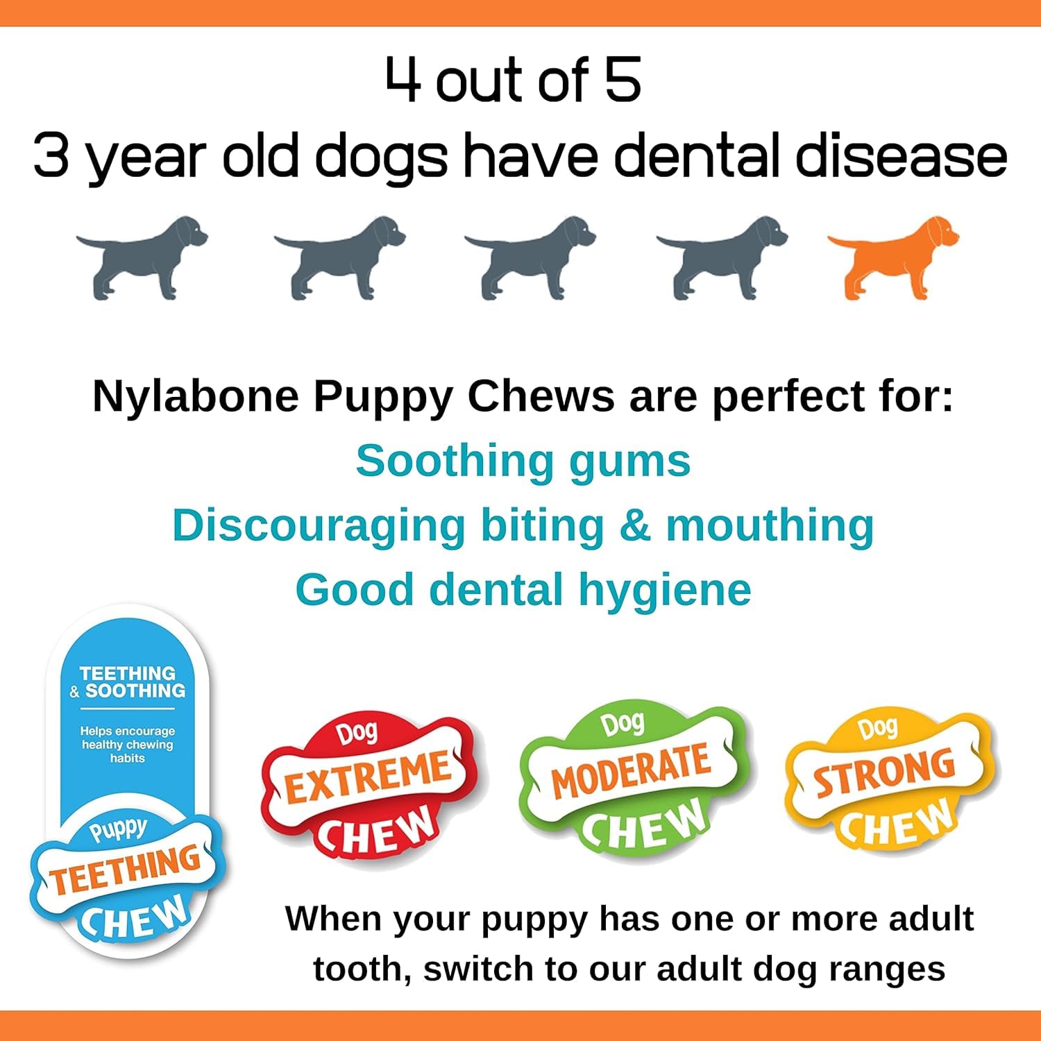 Nylabone Puppy Rubber Teether - Puppy Chew Toys for Teething - Puppy Supplies - Vanilla Flavor, Small/Regular (1 Count)