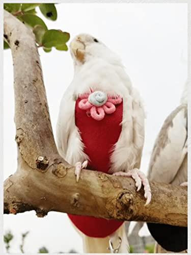 Yu~'s north Bird Diaper Harness Flight Suit Clothes with Flying Leash for Parrots Cockatiel Pet Birds, Parrot Clothes, Bird Training Nappy Suit Liners Clothes (M, Red), Medium