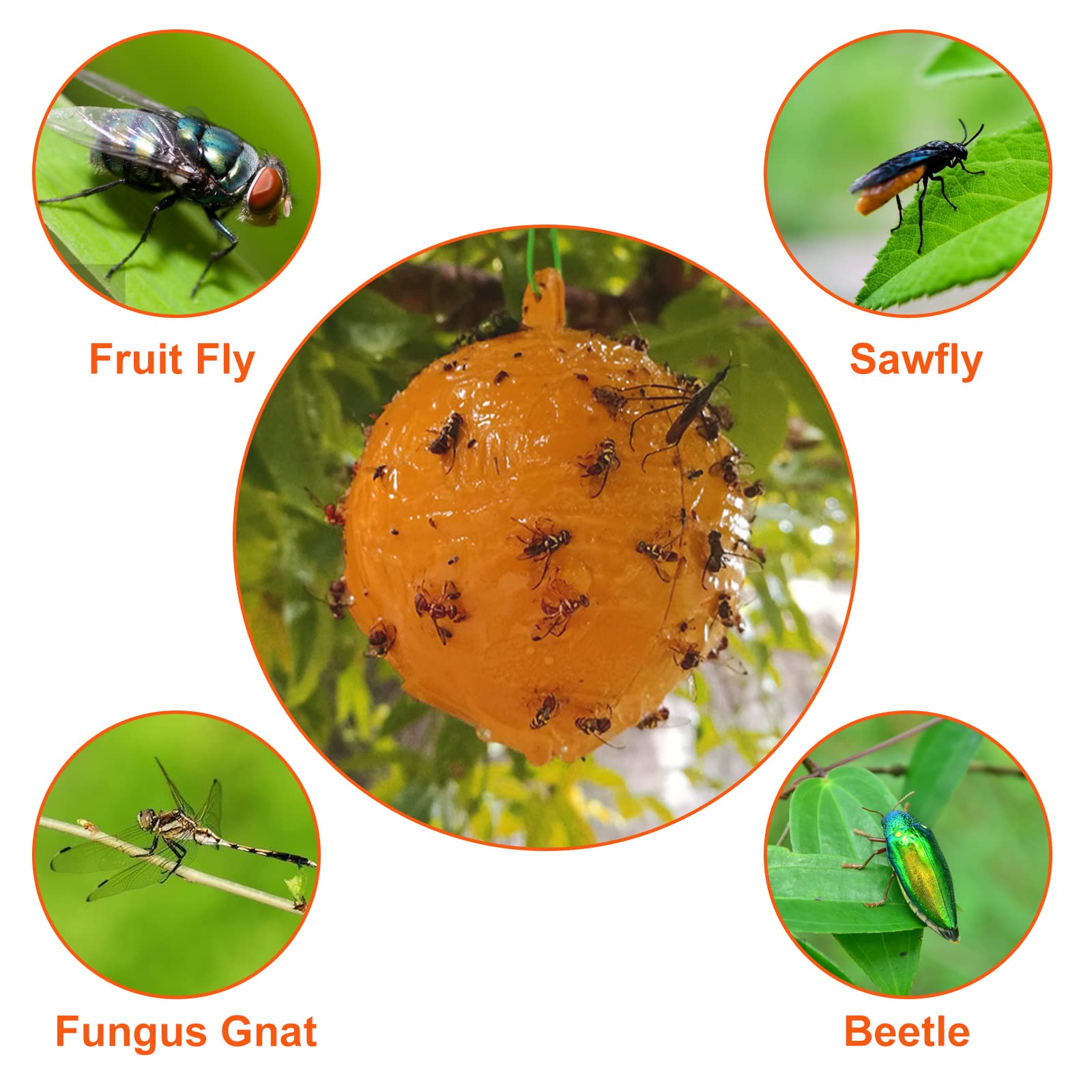 osseph Fruit Fly Traps Ball Sticky Traps Ball, 6 PCS Gnat Traps Flying Insects Traps Ball for Indoor Outdoor House Kitchen Plants Trees Flying Insects (6PCS, Yellow)
