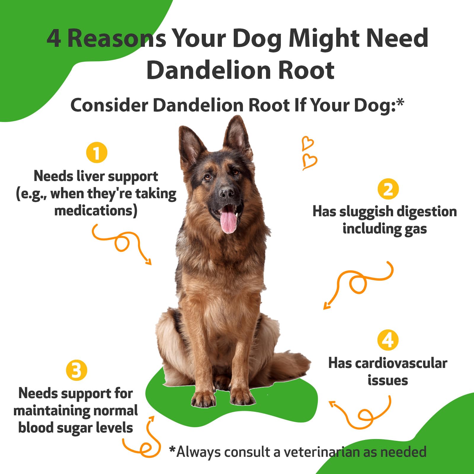 Pet Wellbeing Dandelion Root for Dogs - Liver & Heart Health, Digestive Function, Blood Sugar Support, Certified Organic - Veterinarian-Formulated Herbal Supplement 2 oz (59 ml)