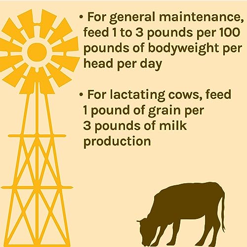 New Country Organics | Cattle Feed for Dairy Cattle | Soy-Free | 16% Protein | Certified Organic and Non-GMO | 40 lbs