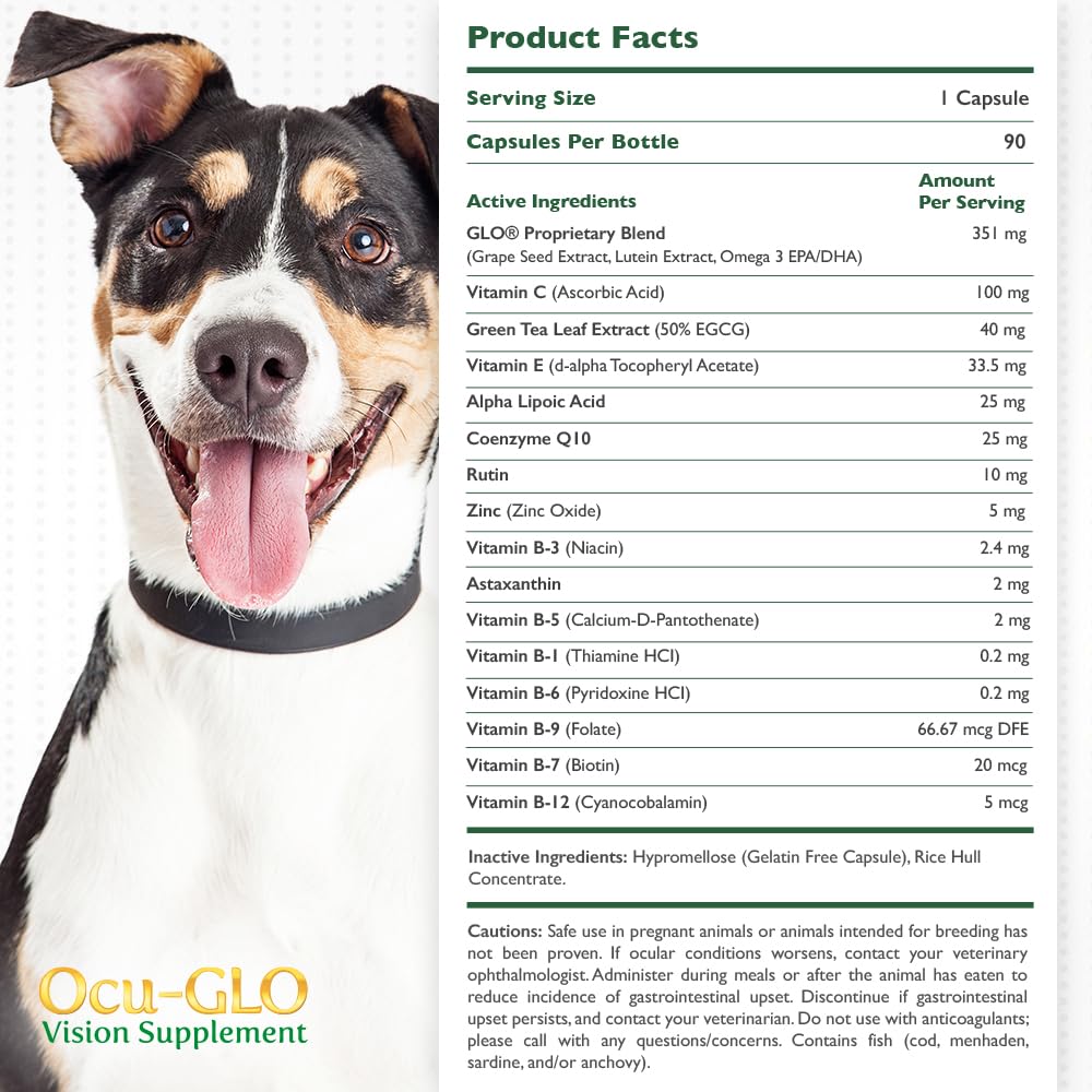 Ocu-GLO PB Vision Supplement for Medium & Large Dogs – Easy to Administer Powder Blend with Lutein, Omega-3 Fatty Acids, Grape Seed Extract & Antioxidants to Promote Eye Health, 90ct Powder Capsules