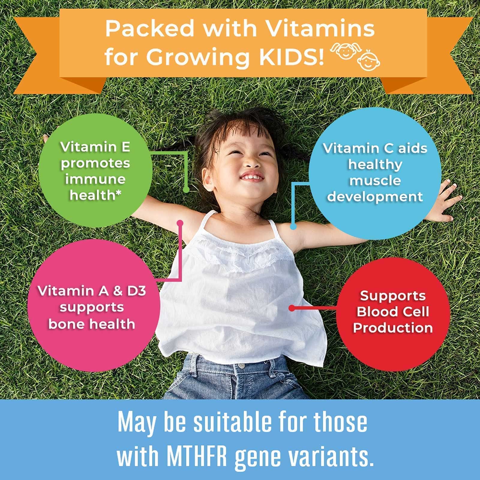Elderberry Gummies for Immune Support (Sugar Free) & Kids Multivitamin Bundle | Powerful Blend of Zinc, Elderberry, Vitamin C, Vitamin D, and Echinacea for Kids & Adults | Immune Support for Kids