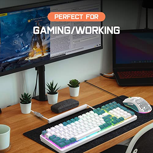K3-95% Wired Gaming Keyboard and ultra-light honeycomb mouse with Coiled Usb C Cable,Clicky Blue Switch LIGHTSYNC RGB Chroma Backlit TKL 98 key 4 in 1 Gaming Bundle Retro Metal Panel for PC/Mac