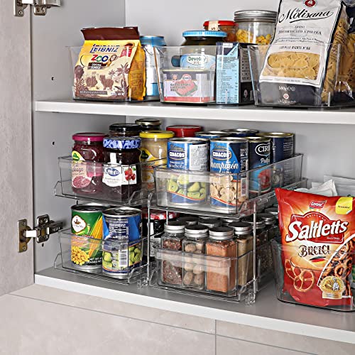 LANDNEOO 2 SET, 2 Tier Clear Organizer with Dividers & 2 Set, 2 Tier Pull-Out Under Sink Organizer and Storage with Dividers