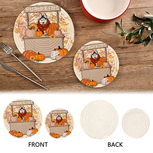 Spring Dogs Sunflower Pot Holders Trivets 2 Pcs Heat Resistant Trivets for Hot Dishes,Puppy Pumpkin Funny Cotton Thread Weave Trivet Mats for Hot Pads Pans Pot Bowl Teapot for Kitchen Decor