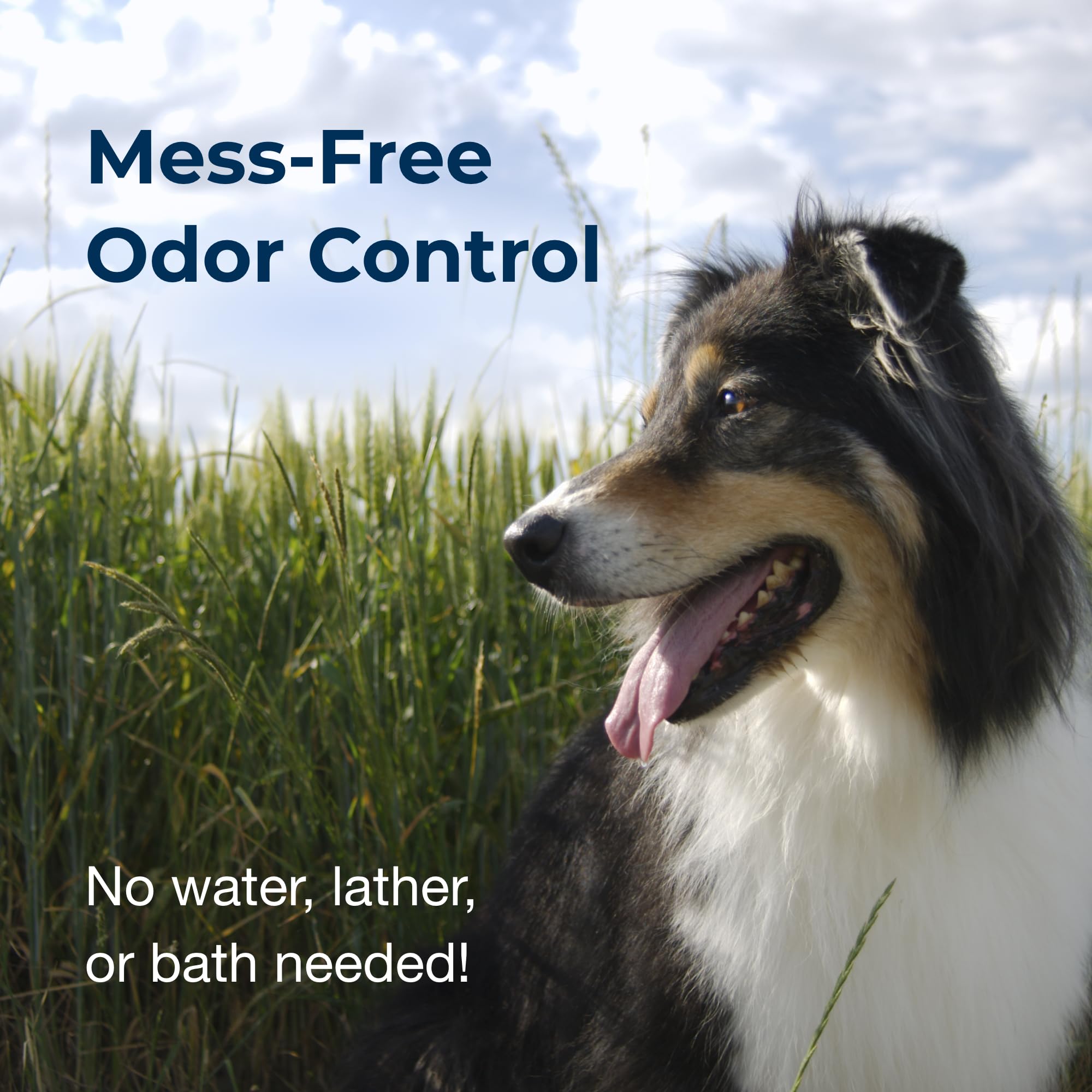 Pet-Ag Fresh ’n Clean Cologne Spray - Fresh Floral Scent - 12 oz - Controls Odor & Keeps Dogs Smelling Fresh