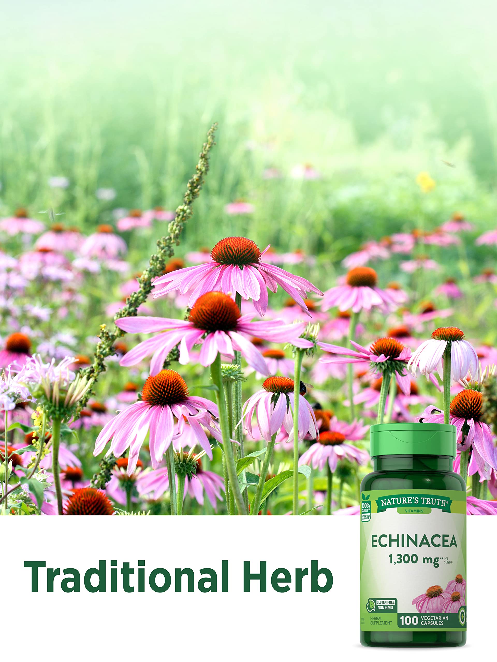 Echinacea Extract Capsules | 1300mg | 100 Count | Non-GMO & Gluten Free | by Nature's Truth