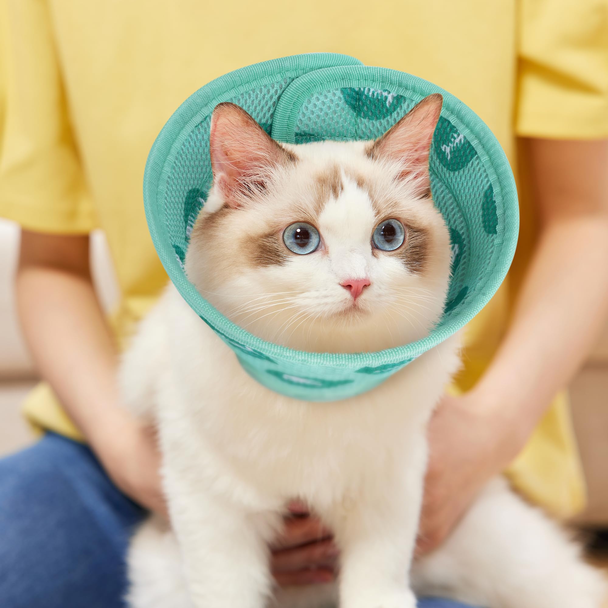 Ledander Soft Cat Cones After Surgery Tall, Cat Recovery Collars & Cones, Cat Neck Cone Alternative Elizabethan Collar for Cats After Surgery Anti-Bite Lick Wound Healing(Green,S)