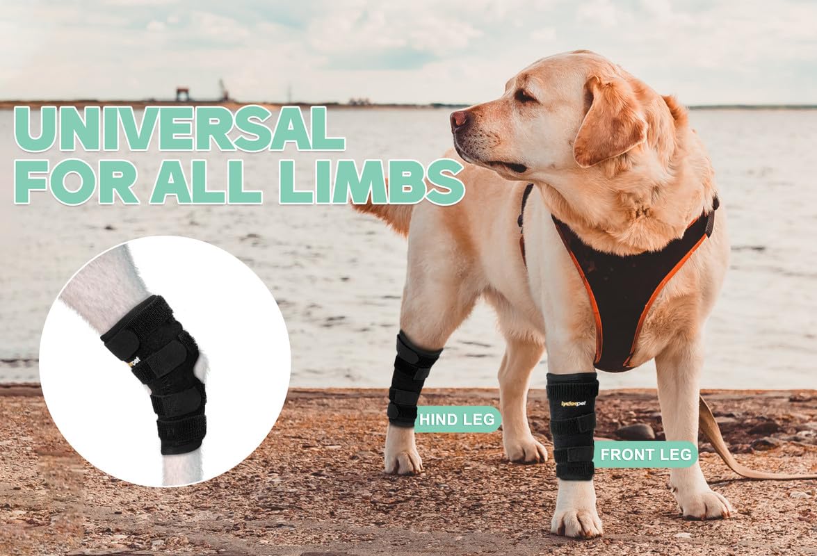 Lyderpet Dog Leg Brace for Rear Hock & Ankle, Canine Hind Leg Joint Compression Wrap for Torn ACL & CCL, Back Leg Injury and Sprain Protection, Helps with Elderly Dogs Activies and Arthritis (L)