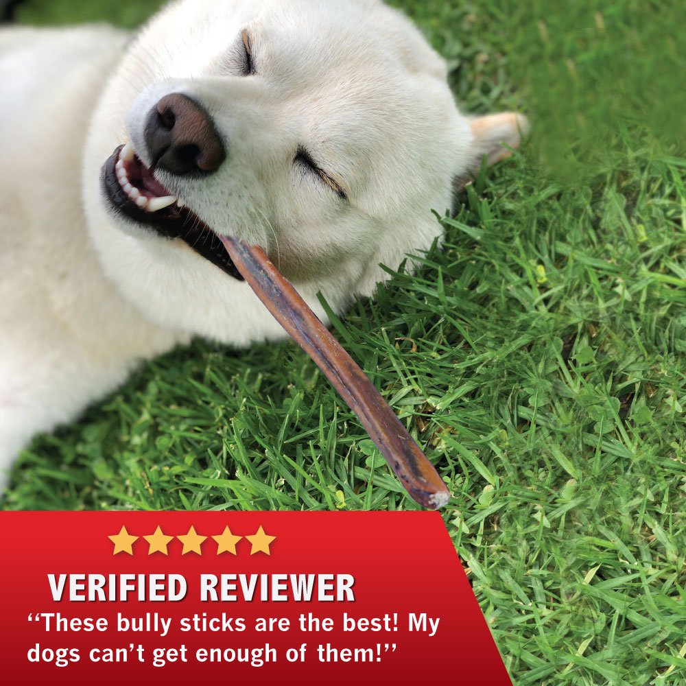 Natural Dog Chew - Powerpet: Bully Sticks - 12” Jumbo Bully Sticks - 7 Ct - Odorless - Helps Improve Dental Hygiene - 100% Natural & Highly Digestible - Helps Keep Your Dog Healthy & Happy
