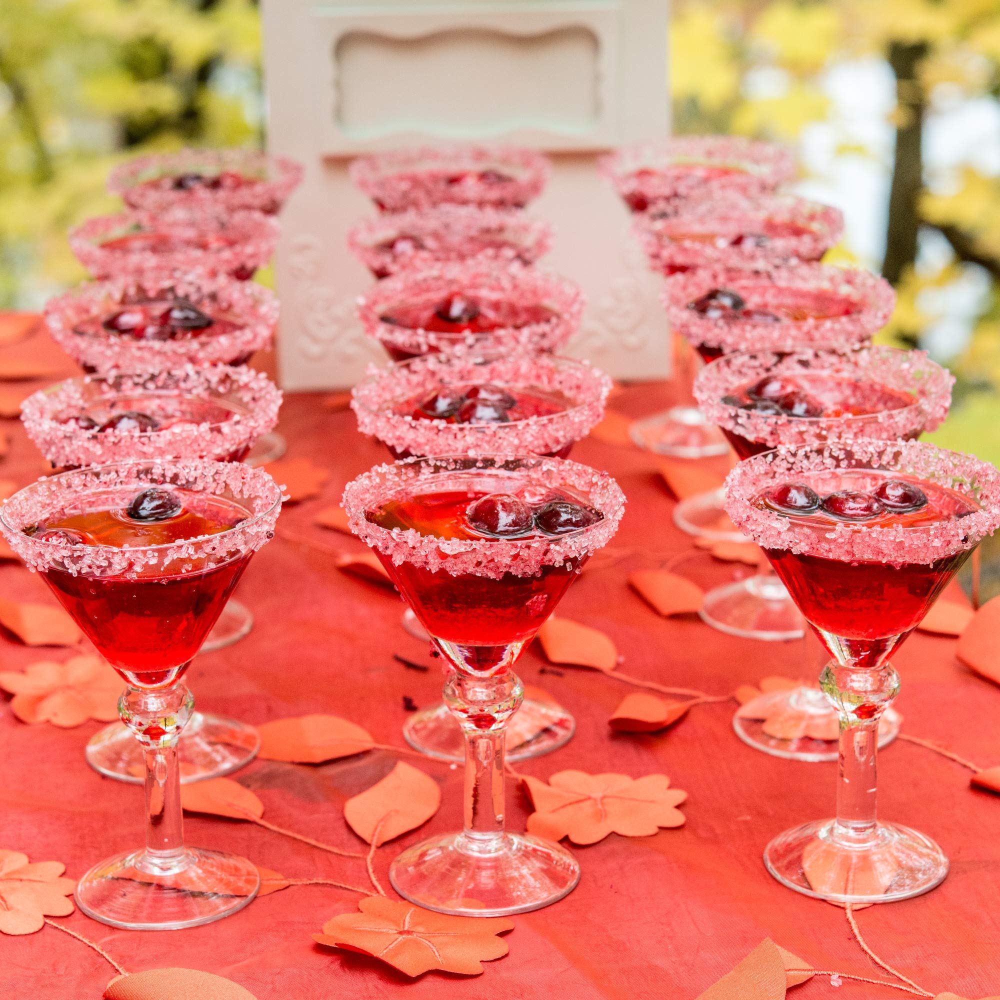 Miniature 3oz Martini Glasses - Pack of 6