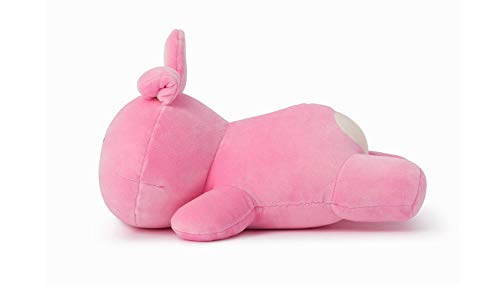 Lerion Pillow Doll Plush Small Plush Puppets Toy Bangtan Boys Throw Pillow Cushion Perfect for Home/Car/Office/Travel/School Decor Great Gift (Cooky)
