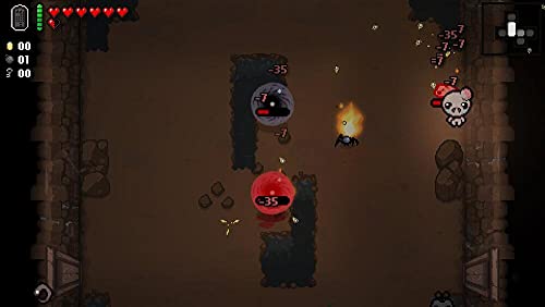 The Binding of Isaac Afterbirth / PS4