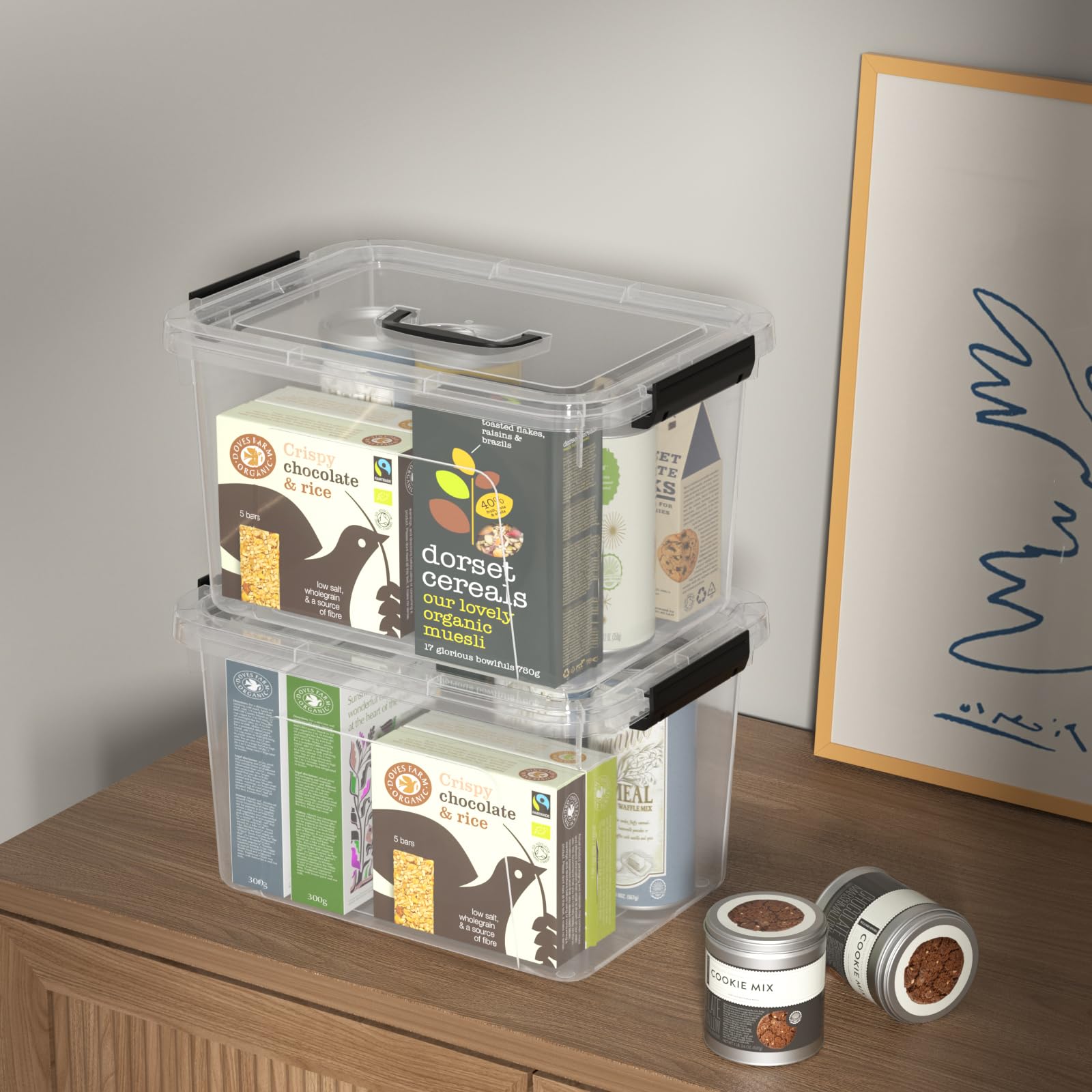 Jandson 4 Packs Plastic Storage Box with Handle, 10 L Clear Lidded Organizer Bin