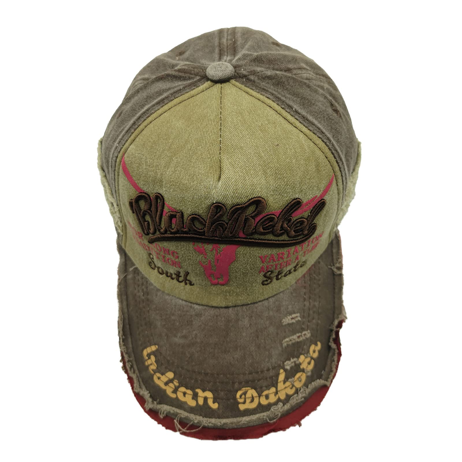Embroidered Cotton Baseball Cap Unisex Vintage Classic Dad Hat Soft Snapback Sunhat Outdoor Activities for Men Women Kids Brown