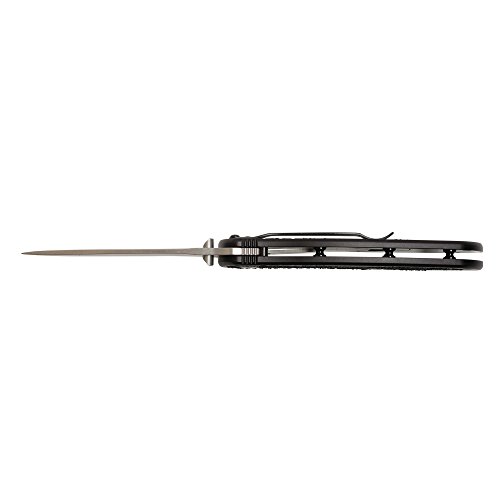 Kershaw S30V Blur Pocketknife, 3.4" S30V Powdered Stainless Steel Recurved Blade, Assisted Thumb-Stud Opening EDC