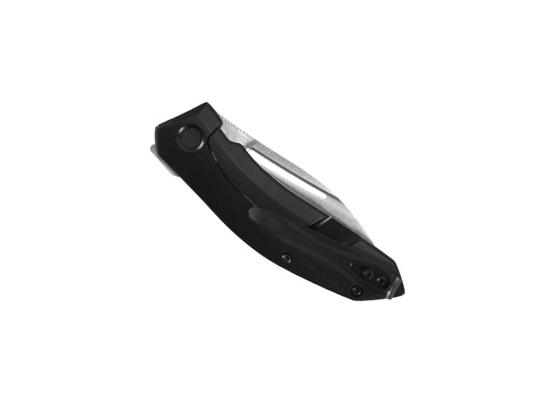 Kershaw Turismo Leaf Blade Pocket Knife 2.9 inch Blade, Assisted Opening Frame Lock, 5505, Black, 2.8 Ounce