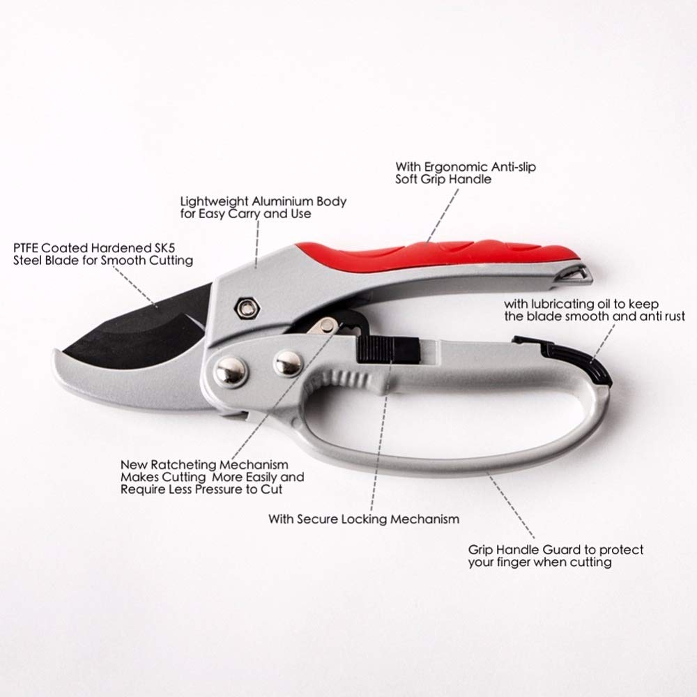 Garden Pruning Shears Secateurs Tools Fruit Tree Pruning Scissors Bonsai Branch Pruners Gardening Secateurs Trimmer Tools