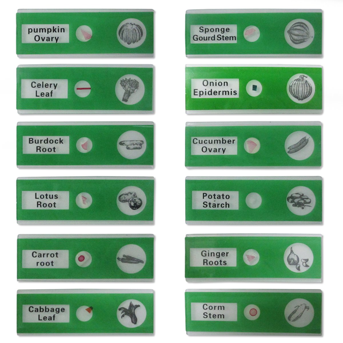 Prepared Microscope Slides Set of 48 pcs Animals Insects Plants Flowers Sample Specimens for Kids Education