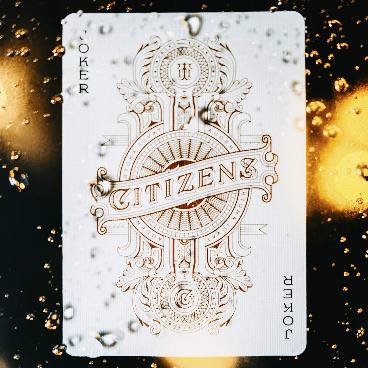 theory11 Citizen Playing Cards,Brown