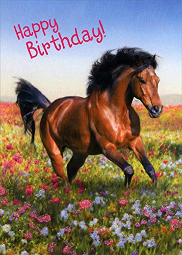 Paper House Productions Running Stallion in Meadow Juvenile Birthday Card for Kids : Children