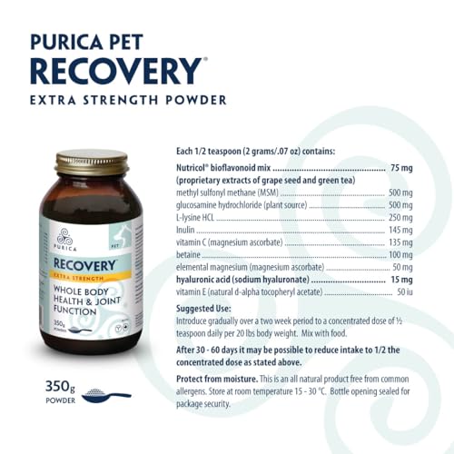 PURICA Recovery SA Powder 350g - Advanced Support for Joints, Comfort & Mobility in Dogs & Cats - Natural & Safe Supplement