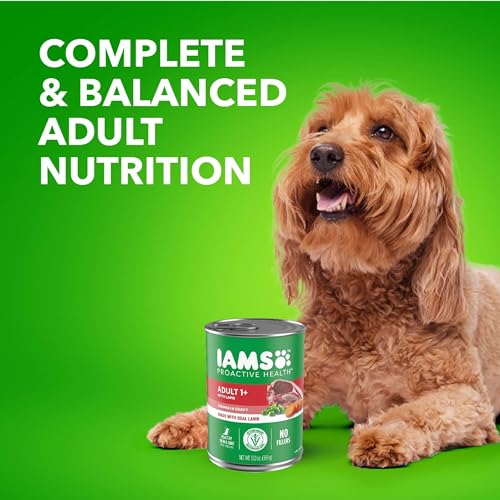 Iams Proactive Health Wet Dog Food, Lamb Chunks in Gravy, 13 oz., Pack of 12