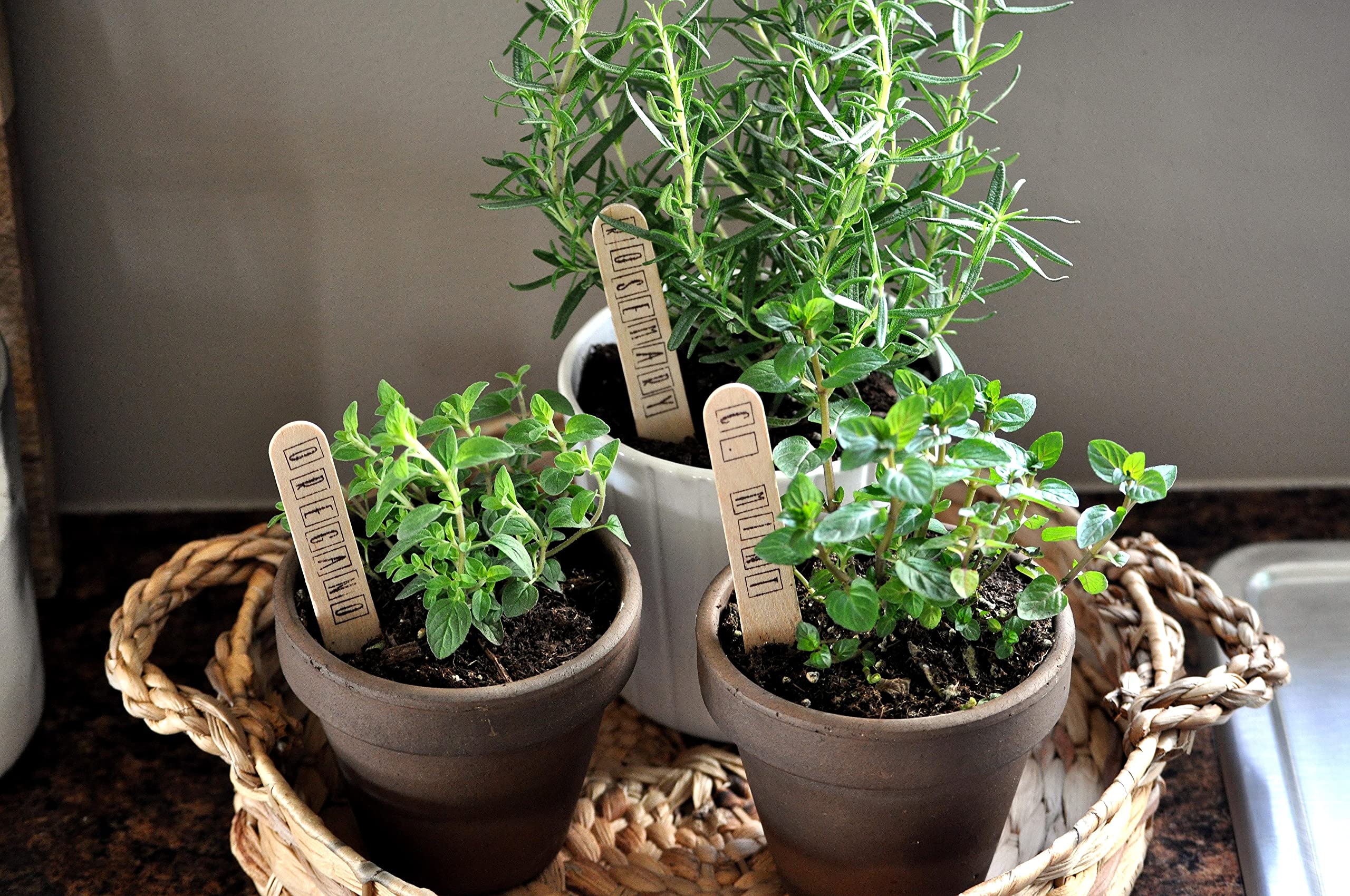 Doter Organic Potting Soil Mix for All Indoor & Outdoor Small Containers Including Herbs, Vegetables, and Flowers 1 qt