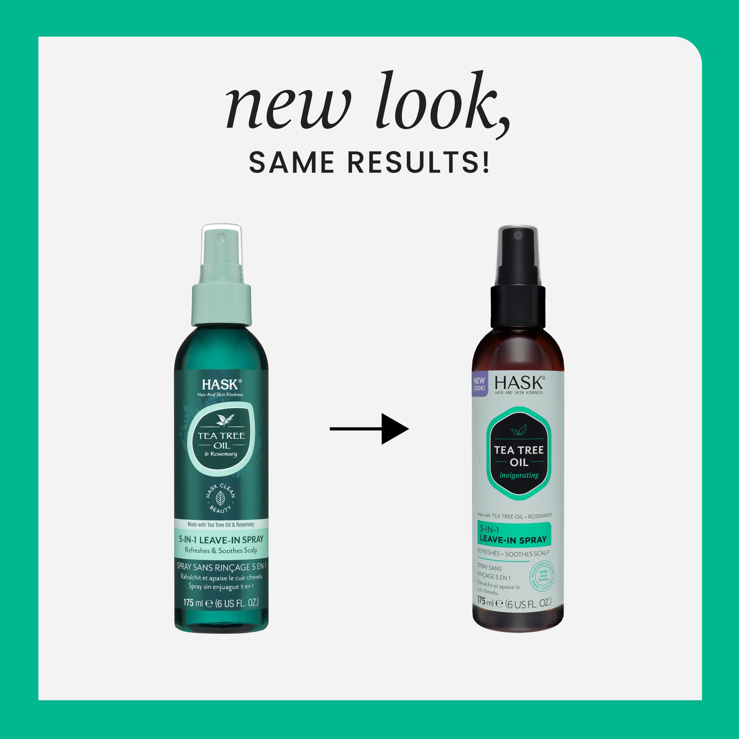 HASK Tea Tree Back to School Pack: Tea Tree Oil & Rosemary Shampoo and Conditioners and a 2-pack of 5-in-1 Leave In Conditioner Sprays