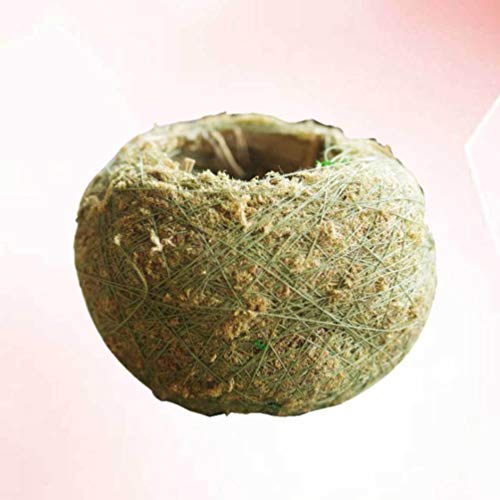 Generic 5pcs Moss Ball Planter Japanese Style Natural Kokedama Flower Vase Flower Pot Creative Sphagnum Flower Holder Potted Hydrating Bonsai Plants Containers for Home Wedding Decor