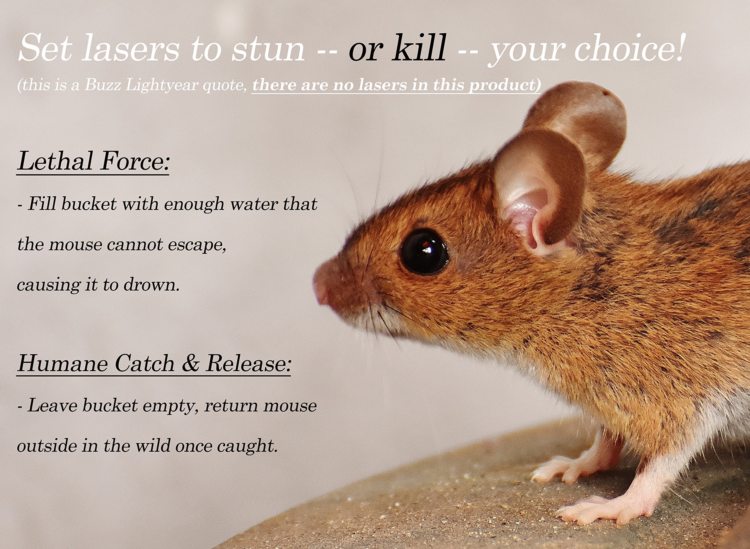 Rat Trap - Humane No Kill No Touch Live Rodent Trap that Works - Safe for Children and Pets - Indoor or Outdoor Use