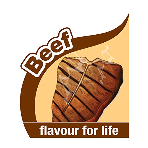 Nylabone DuraChew Rawhide Alternative Knot Bone Beef Regular