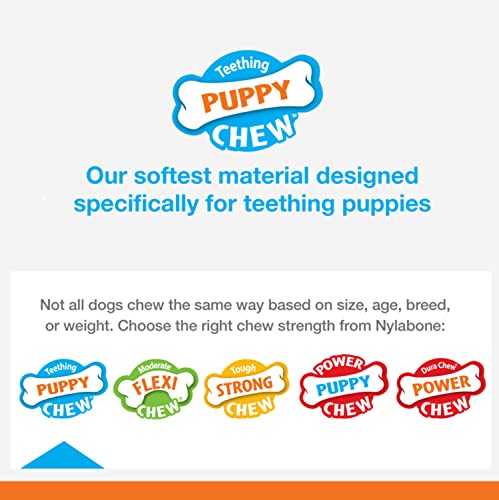 Nylabone Puppy Starter Kit with Chew Toys - Puppy Toys and Chew Treat Bundle - Puppy Supplies - Chicken and Bacon Flavors, Small/Regular (6 Count)