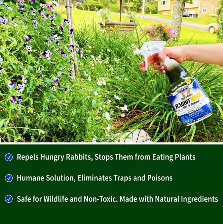 Nature’s MACE Rabbit Repellent 40oz Concentrate/Covers 28,000 Sq. Ft. / Rabbit Repellent and Deterrent/Keep Rabbits Out of Your Lawn and Garden/Safe to use Around Children & Plants