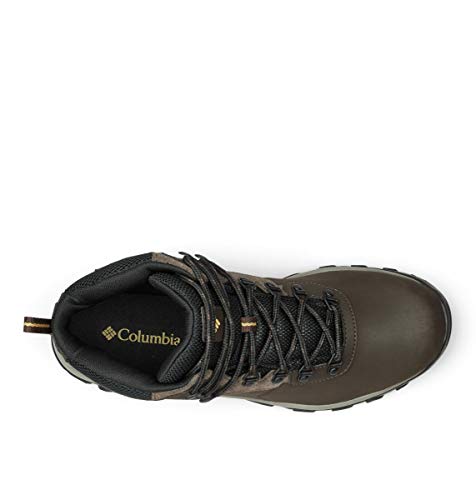 Columbia mens Newton Ridge Plus Ii Waterproof Hiking Boot, Cordovan/Squash, 9 US