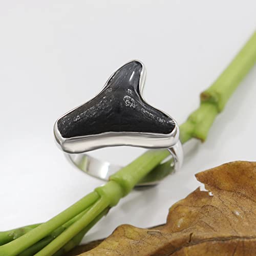 Fossilized Shark Tooth Ring Handmade 925 Sterling Silver Dainty Shark Tooth Ring Jewelry Best Gift (Shark Tooth, 7)
