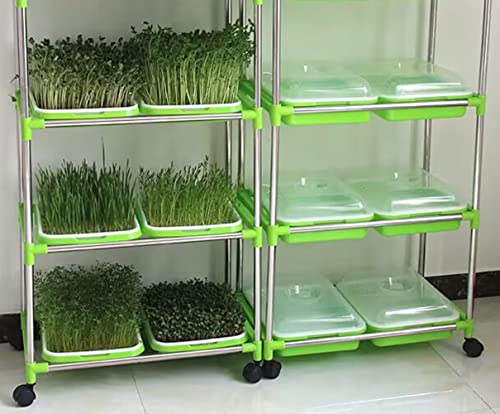 JMESTOHP 3 Layers Seed Sprouting Kit for Seed Sprouter Tray BPA Free for Alfalfa Sprouts Wheatgrass Grower Sprouting, Stainless Steel Shelf for Seed Sprouting Tray