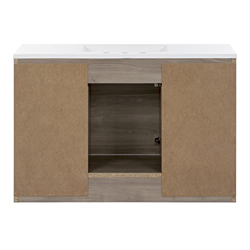 Spring Mill Cabinets D48V40264 Tarni Single Bathroom Vanity with 4 Drawers, Cabinet, and White Sink Top, Forest Elm