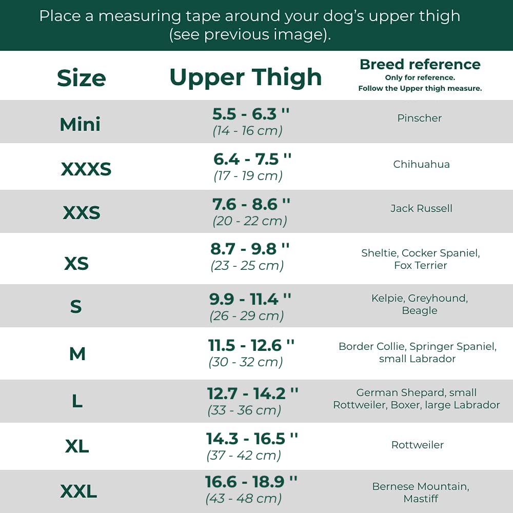 Ortocanis - Knee Brace for Dogs with Ligament Rupture and Patella Luxation, Size XXS, Left Leg