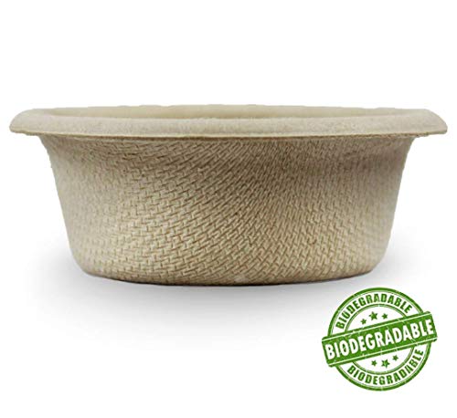 Pangea Large Biodegradable Gecko Food & Water Cups 100 Ct, tan (LPC-100)