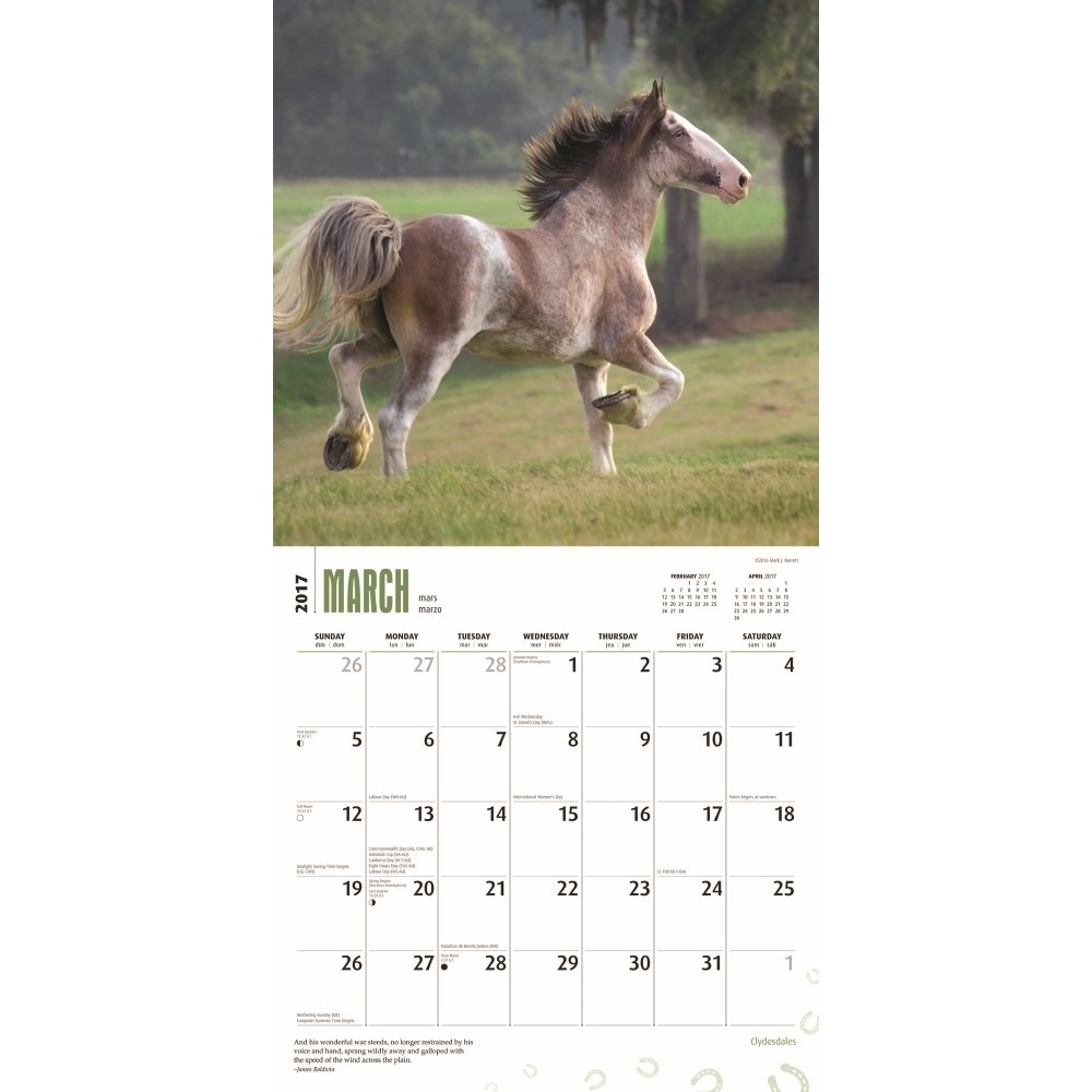 Clydesdales 2017 Calendar (English, French and Spanish Edition)