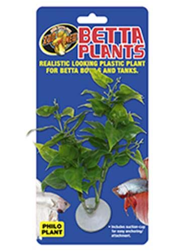 Zoo Med Laboratories AZMBP20 Betta Plant Philo