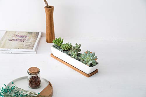 Kipokalor 11.1x2.36x1.77inch Long Rectangular Modern Minimalist White Ceramic Succulent Planter Pot with Saucer for Office,Desk,Window.